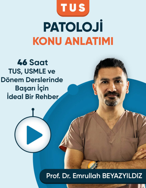 TUS – Video – Sayfa 2 – Tipdemy