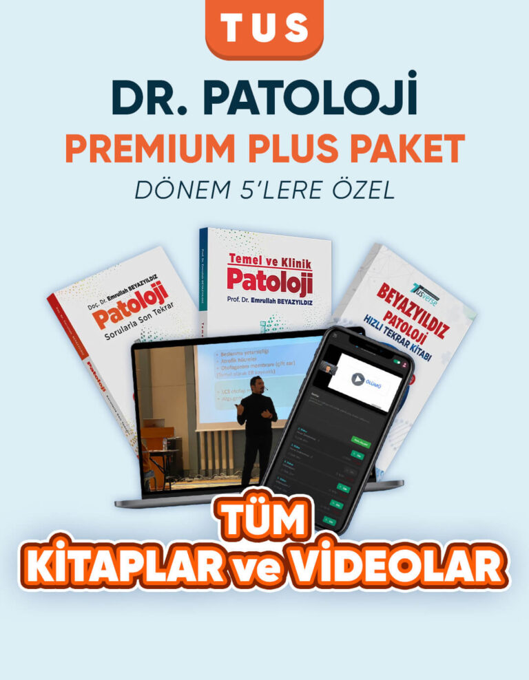 Paket – Tipdemy